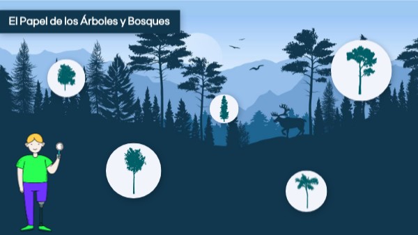 ES 88. El Papel de los Árboles y Bosques | Genially