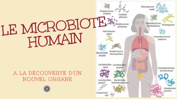le microbiote seconde | Genially