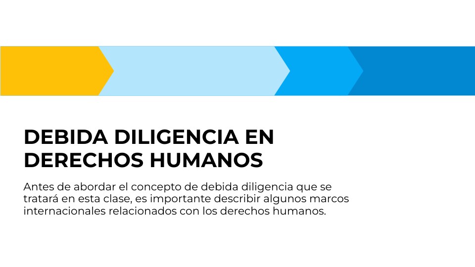 Debida diligencia en Derechos Humanos | Genially