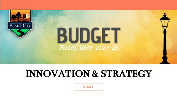 Fiscal Year 2024-25 Budget | Genially