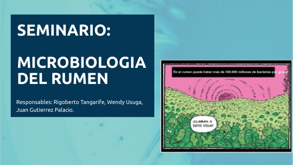 PRESENTACIÓN MICROBIOLOGÍA DEL RUMEN | Genially