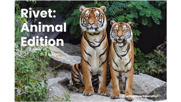 RIVET Animal Edition