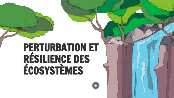 Perturbation et résilience | Genially