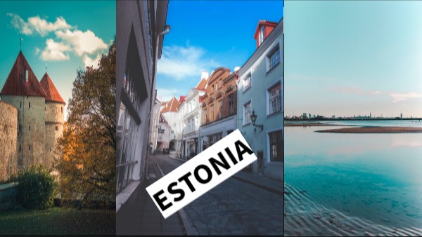ESTONIA D