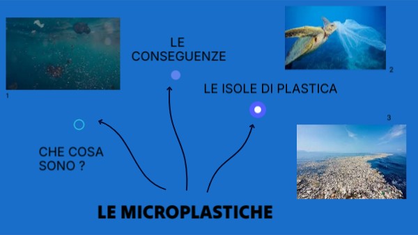 LE MICROPLASTICHE