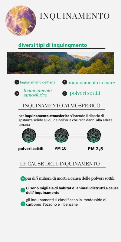 Infografica Inquinamento