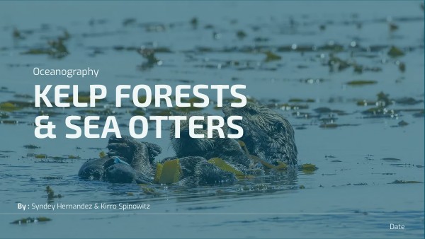 Kelp forest & Sea Otter Pres. | Genially