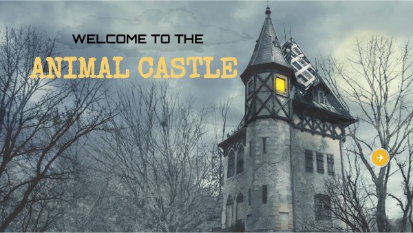Animal castle