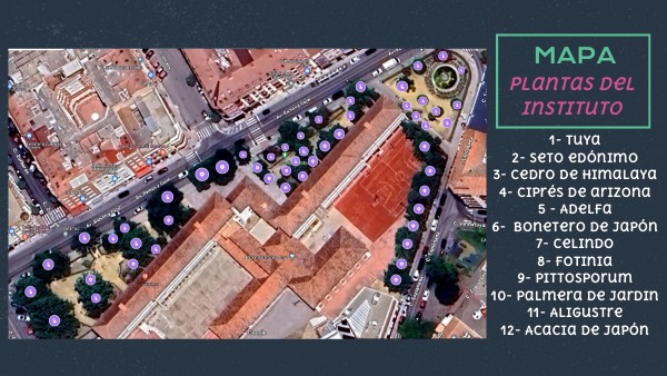 Mapa plantas instituto
