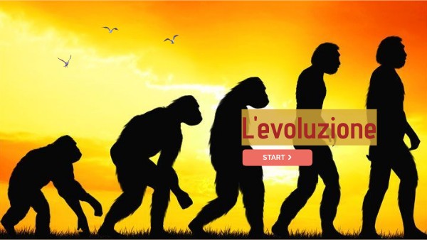 L'evoluzione