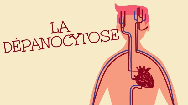 Human Body Presentation | Genially