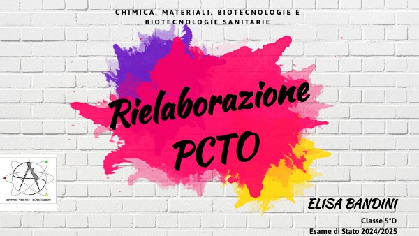 presentazione pcto esame di stato | Genially