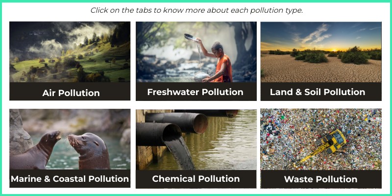 D4SLP_M4_Pollution types | Genially