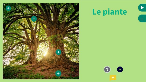 Le piante | Genially
