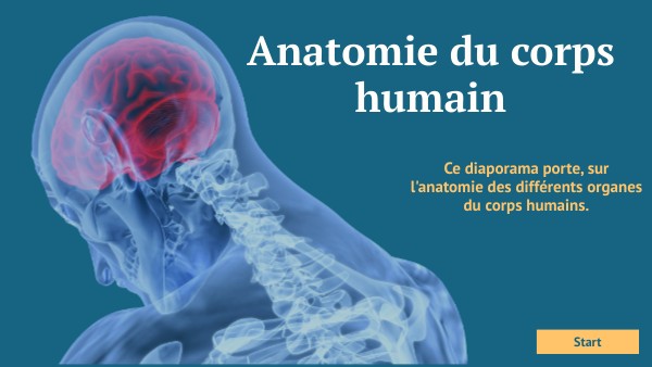 ANATOMY OF THE HUMAN BODY | Genially