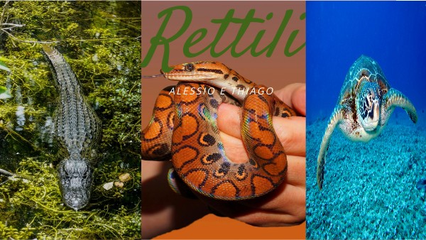 RETTILI 1^D | Genially