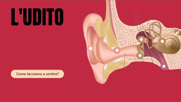 udito e colonne sonore