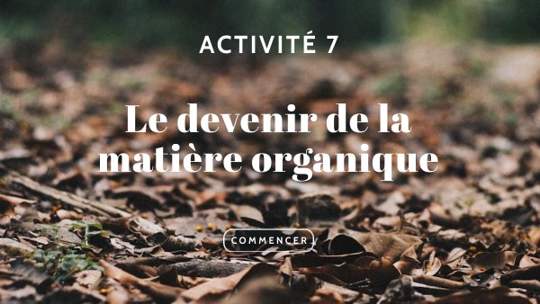 Le devenir de la matière organique