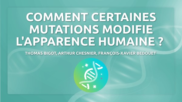 Présentation les roux