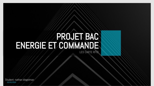projet bac nathan diegelmann