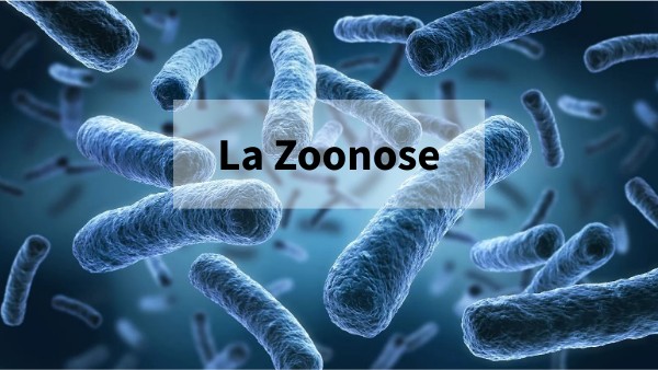 La Zoonose