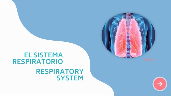 sistema respiratorio_respiratory system