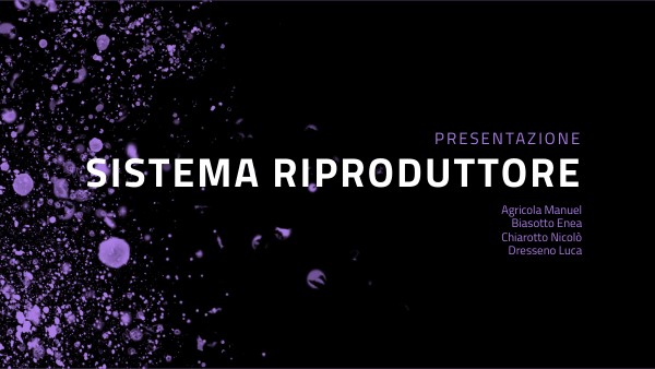 sistema riproduttore