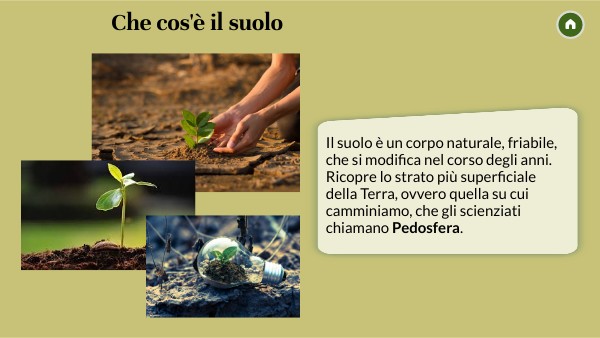 che cos'è il suolo | Genially