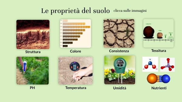 proprietà suolo | Genially
