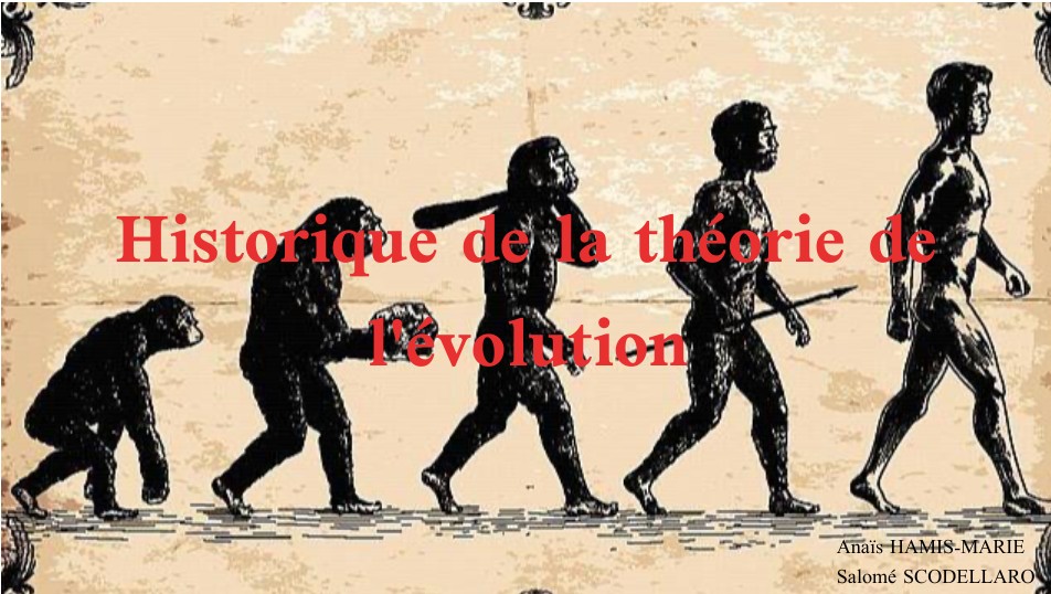 Historique de la théorie de l'évolution | Genially