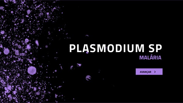 PLASMODIUM SP - MICROBIOLOGIA