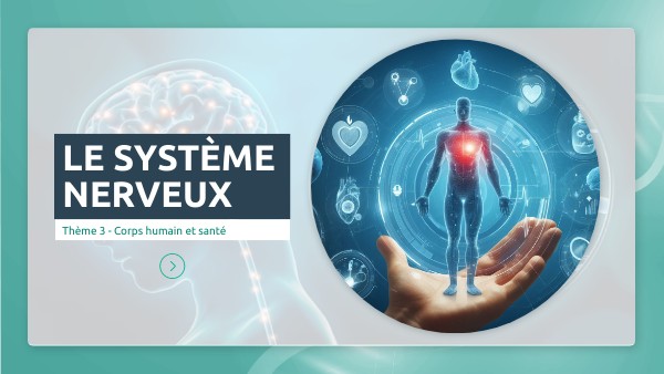Le système nerveux
