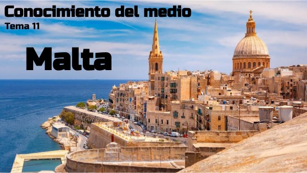 Concimiento del medio tema 11 | Genially