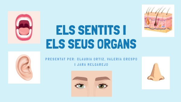 TREBALL DE ELS SENTITS | Genially