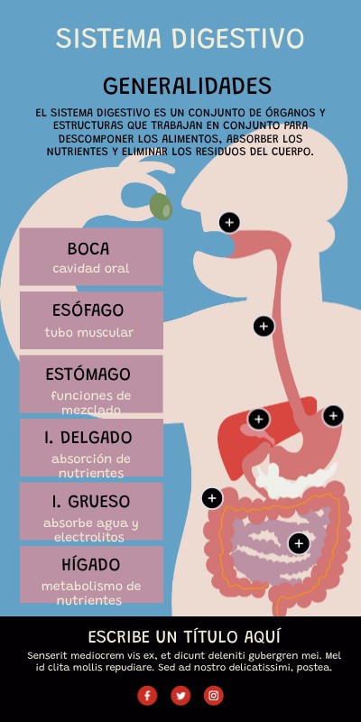 INFO VERTICAL DIGESTIVO | Genially