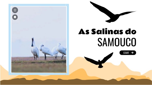 As salinas do samouco | Genially