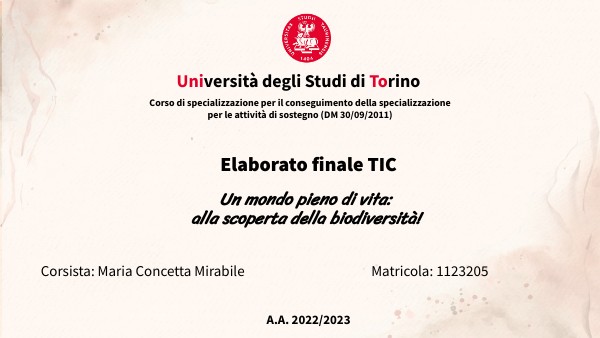 Elaborato TIC | Genially