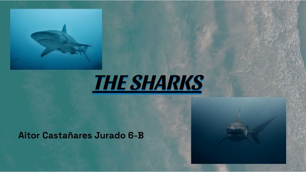 THE SHARKS