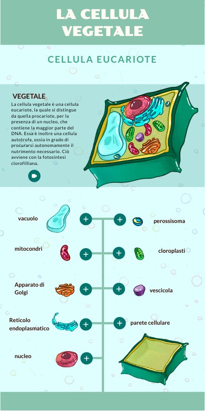 LA CELLULA VEGETALE | Genially