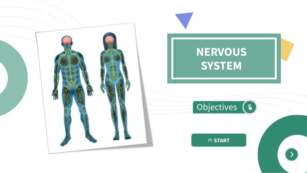 SC11-WEEK1-NERVOUS SYSTEM