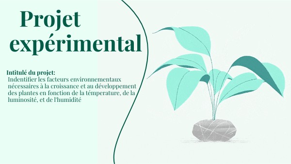 Étapes de croissance des plantes | Genially