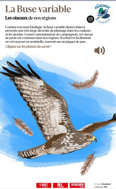 Buse_variable | Genially