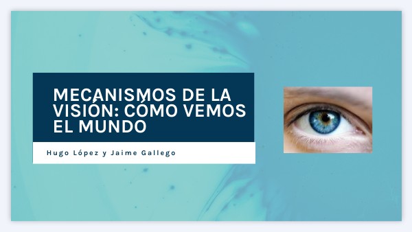 Mecanismos de la visión: Cómo vemos el mundo | Genially