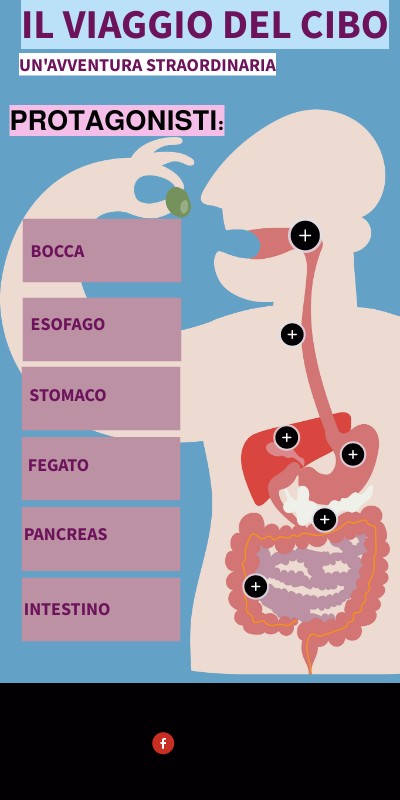 IL VIAGGIO DEL CIBO NEL NOSTRO CORPO | Genially