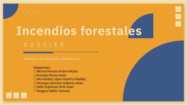 BASIC SHAPES DOSSIER