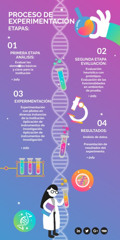 proceso de experimentación etapas. | Genially