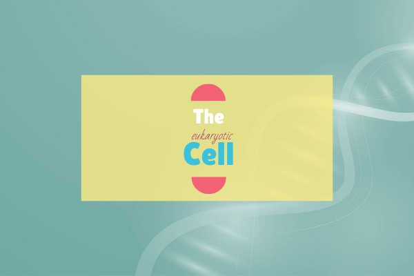 Cell Review | Genially