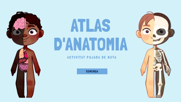 ATLAS ANATOMIA | Genially