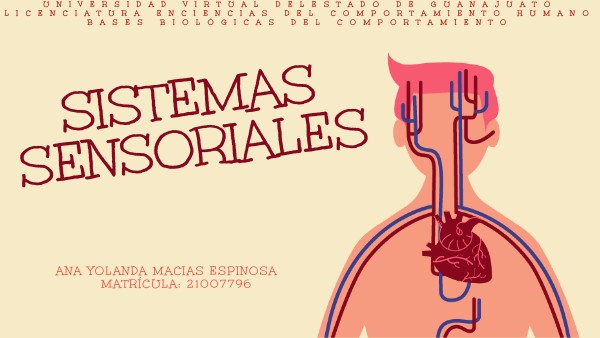 SISTEMAS SENSORIALES | Genially