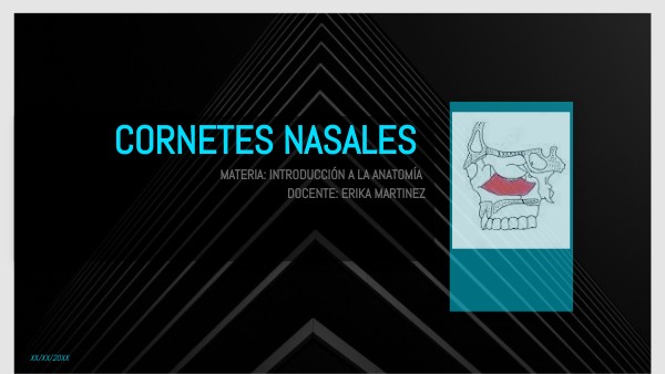 CORNETES NASALES | Genially